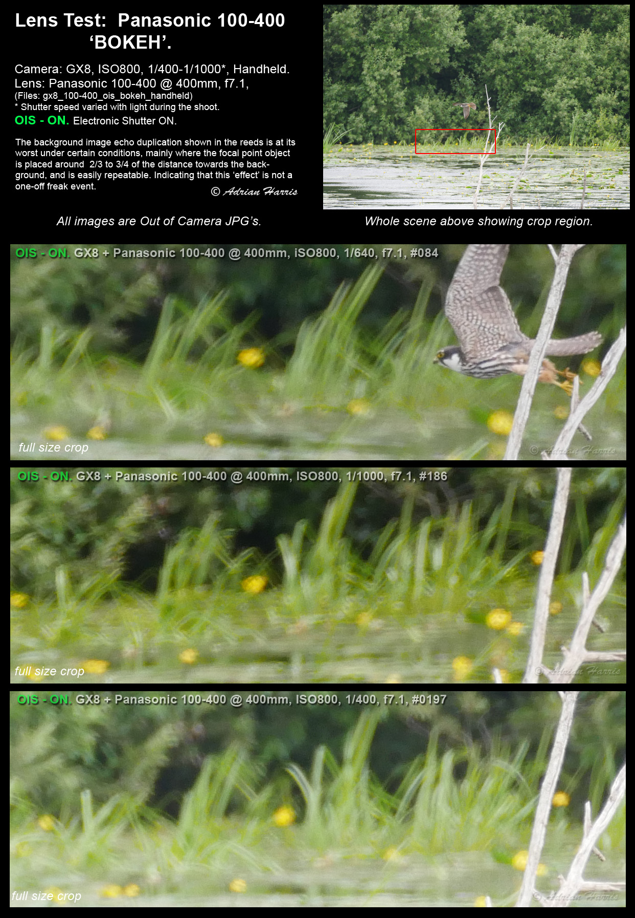 article4: M43 Panasonic 100-400 Test Report